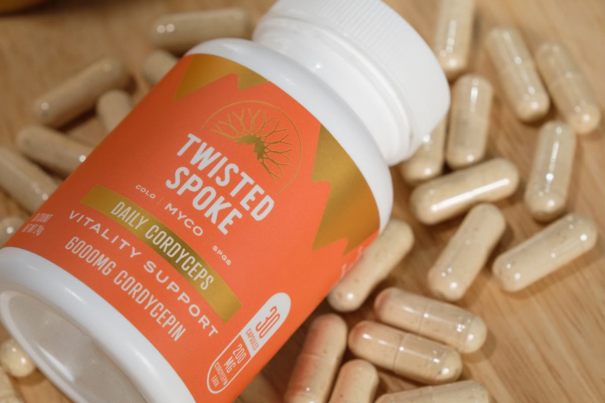 Daily Cordyceps – Twisted Spoke CBD